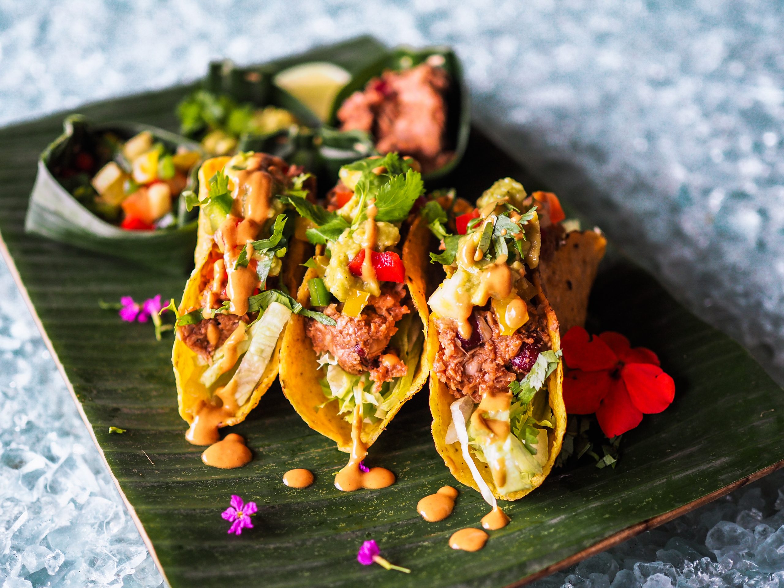 Plant-Based Meat Flavors - Trilogy Flavors