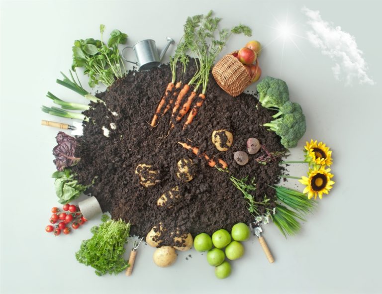 What’s the Difference Between Natural Flavors and Artificial Flavors?