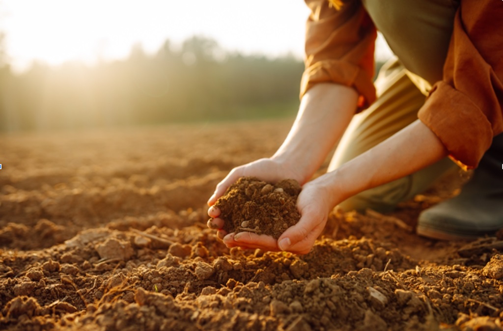 What Does Organic Natural Flavors Mean? - Trilogy Flavors