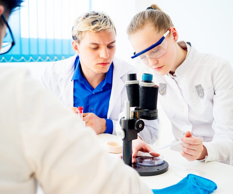 How Flavor Profiles Are Created in Food and Beverage Industries